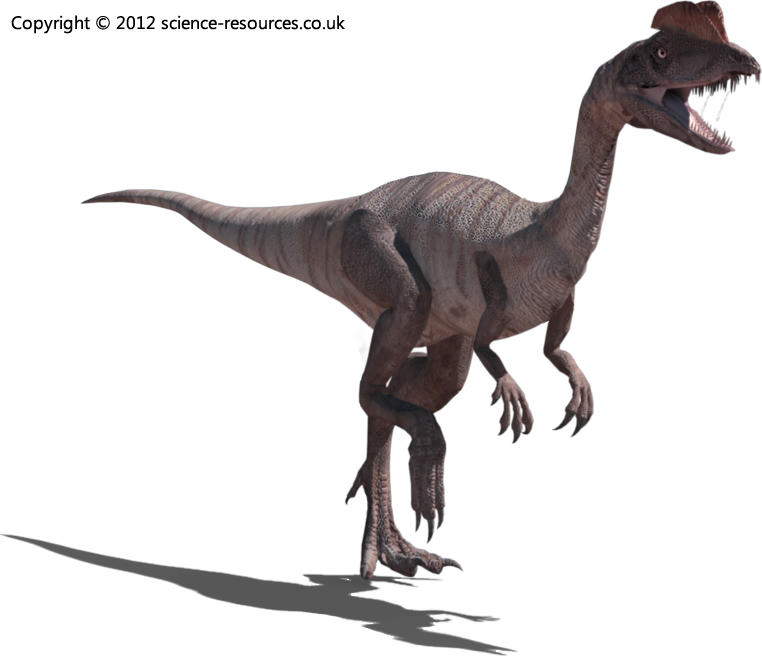 science-resources.co.uk - Dinosaurs: Dilophosaurus