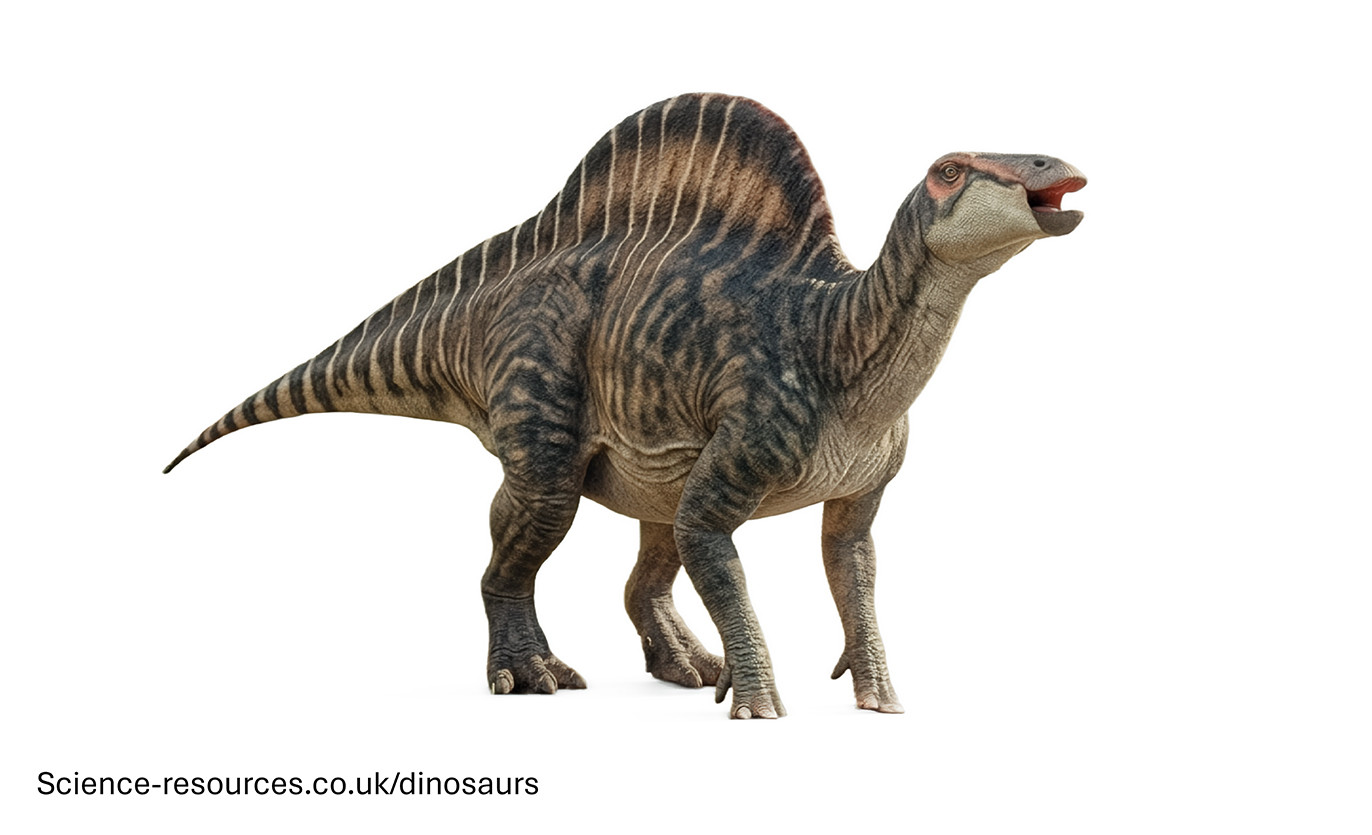 science-resources.co.uk - Dinosaurs: Iguanodon
