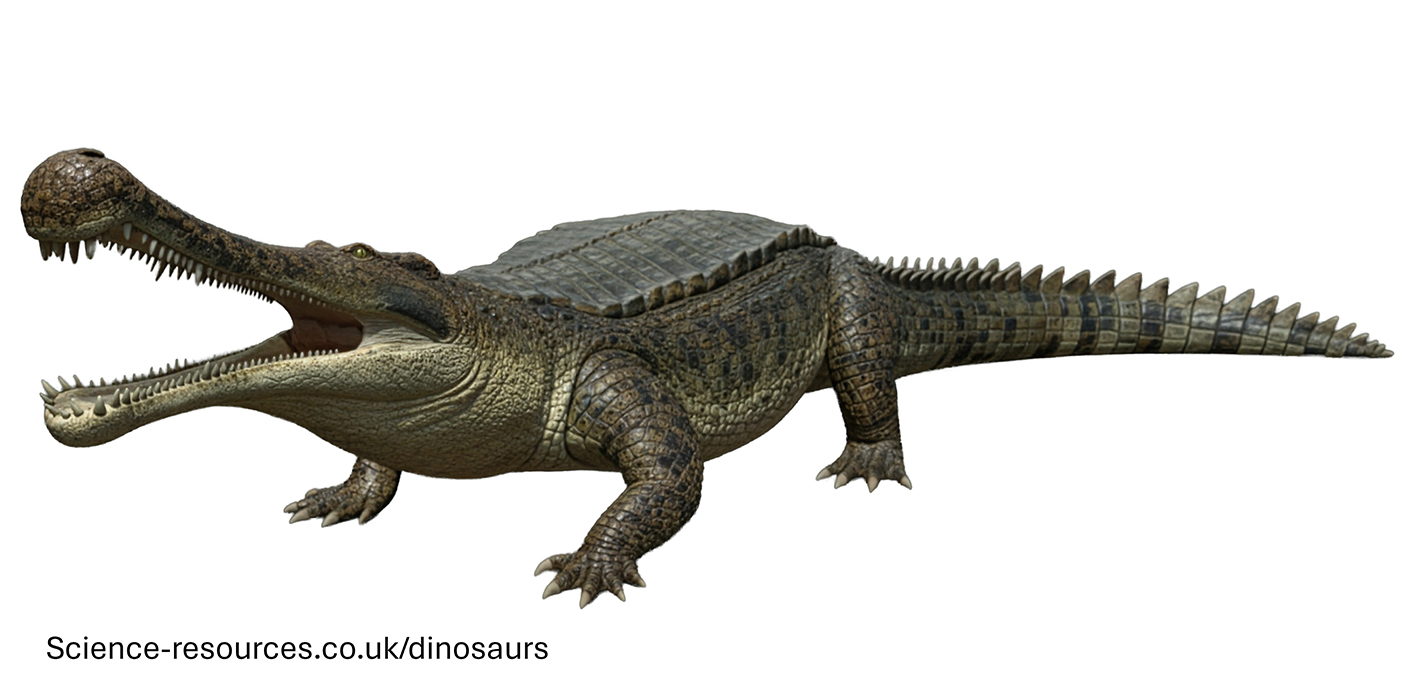 science-resources.co.uk - Dinosaurs and other prehistoric animals ...