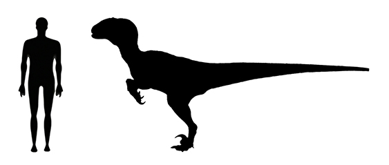 science-resources.co.uk - Dinosaurs: Velociraptor